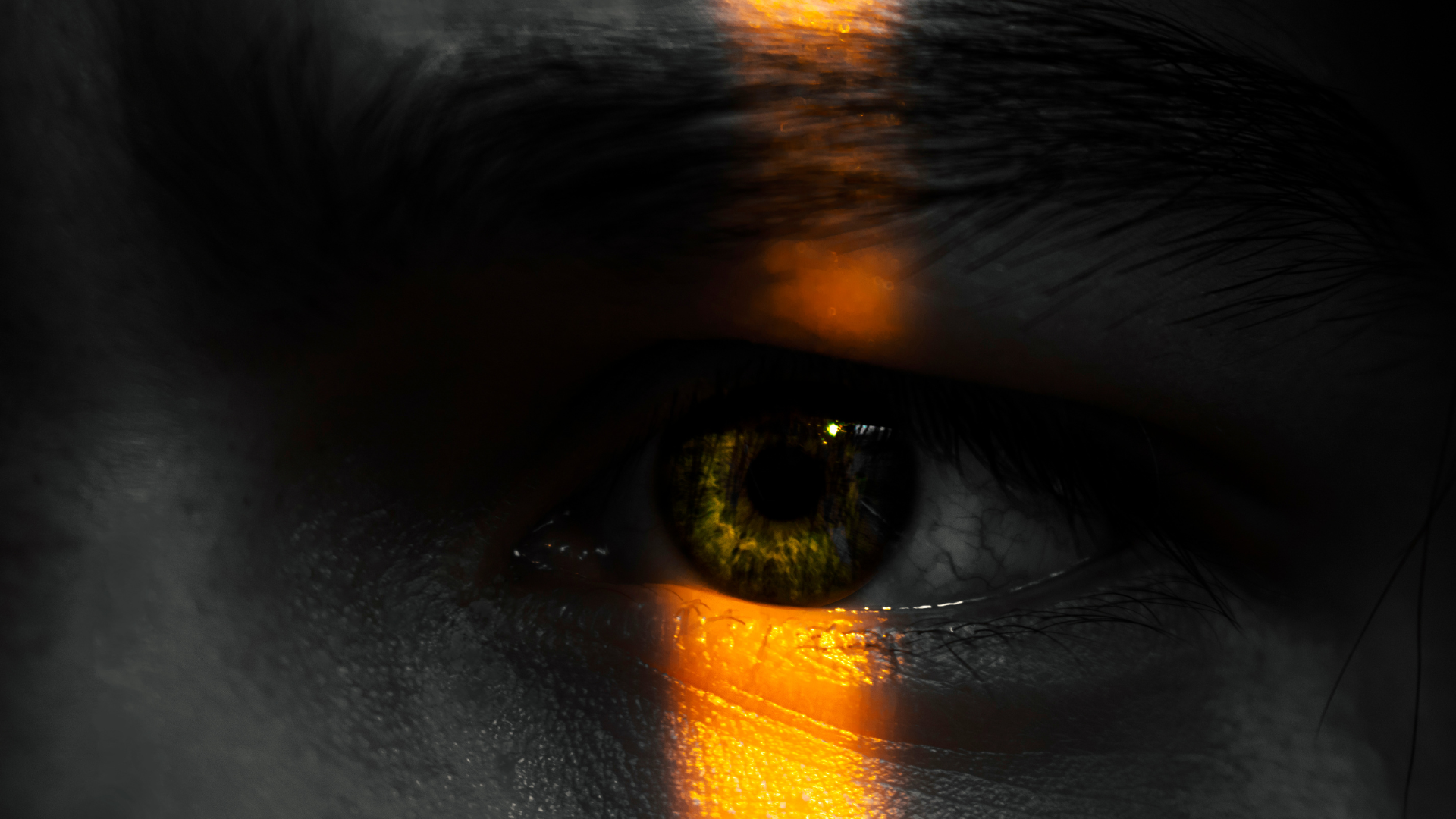 CEOs Are Unaware Of Human Trafficking In Supply Chains - SIREN