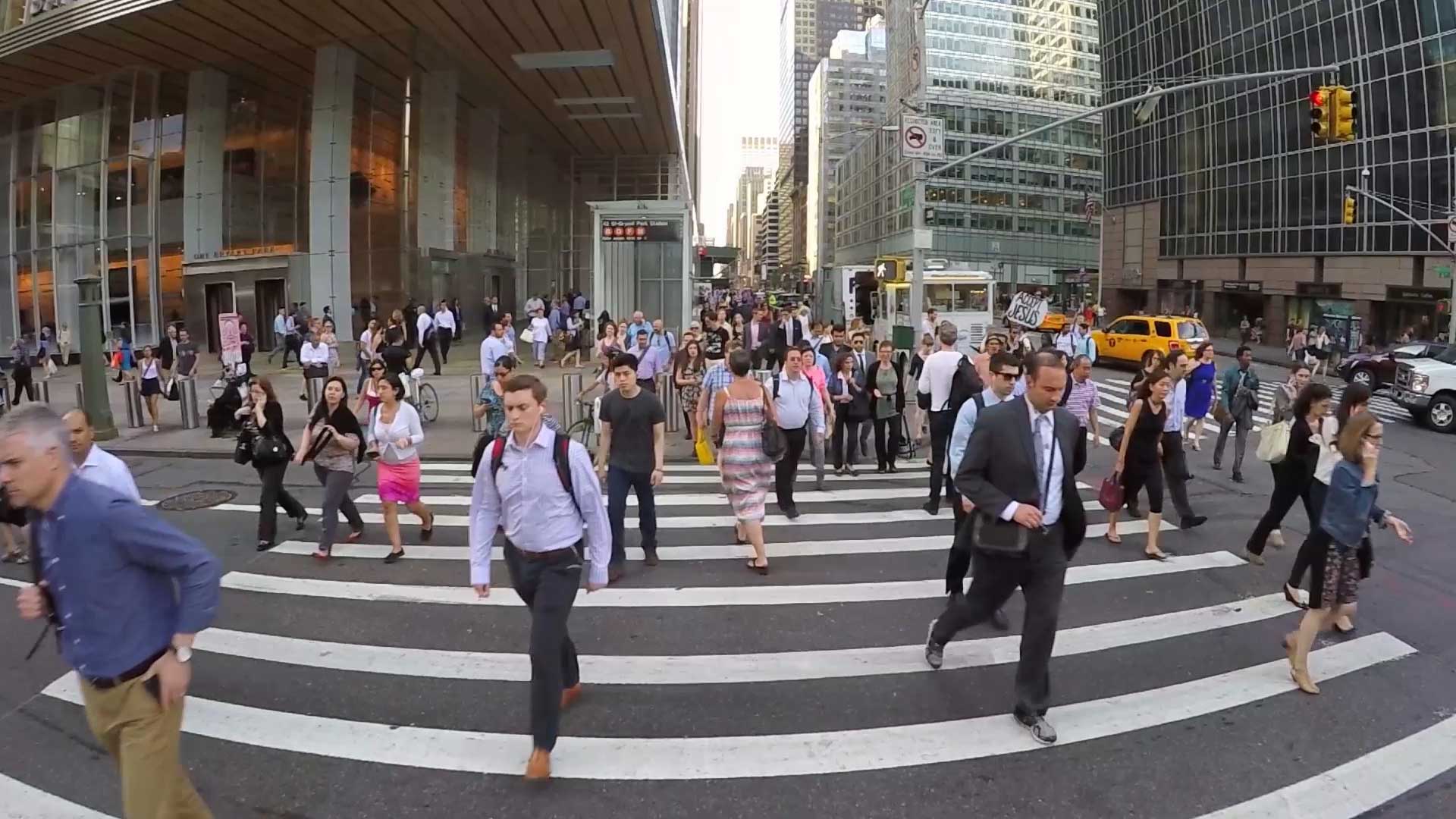 Case Studies - SIREN